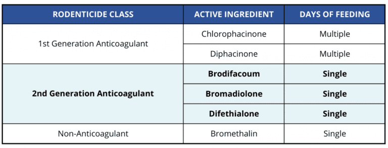 Rodenticide: How Does the Ban Effect Your Rodent Problem? | Blog