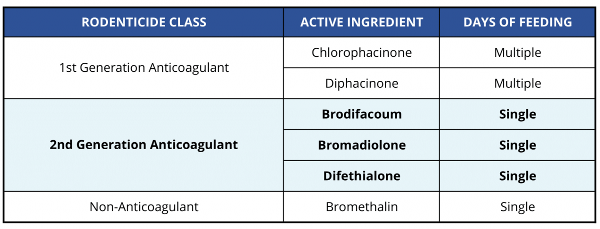 Rodenticide: How Does the Ban Effect Your Rodent Problem? | Blog