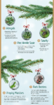 7 Most Common Christmas Tree Insects & How To Prepare For Them & How to ...