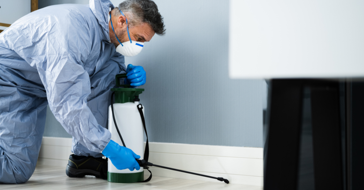 Pests in the Workplace: Best Practices for Businesses and Offices ...