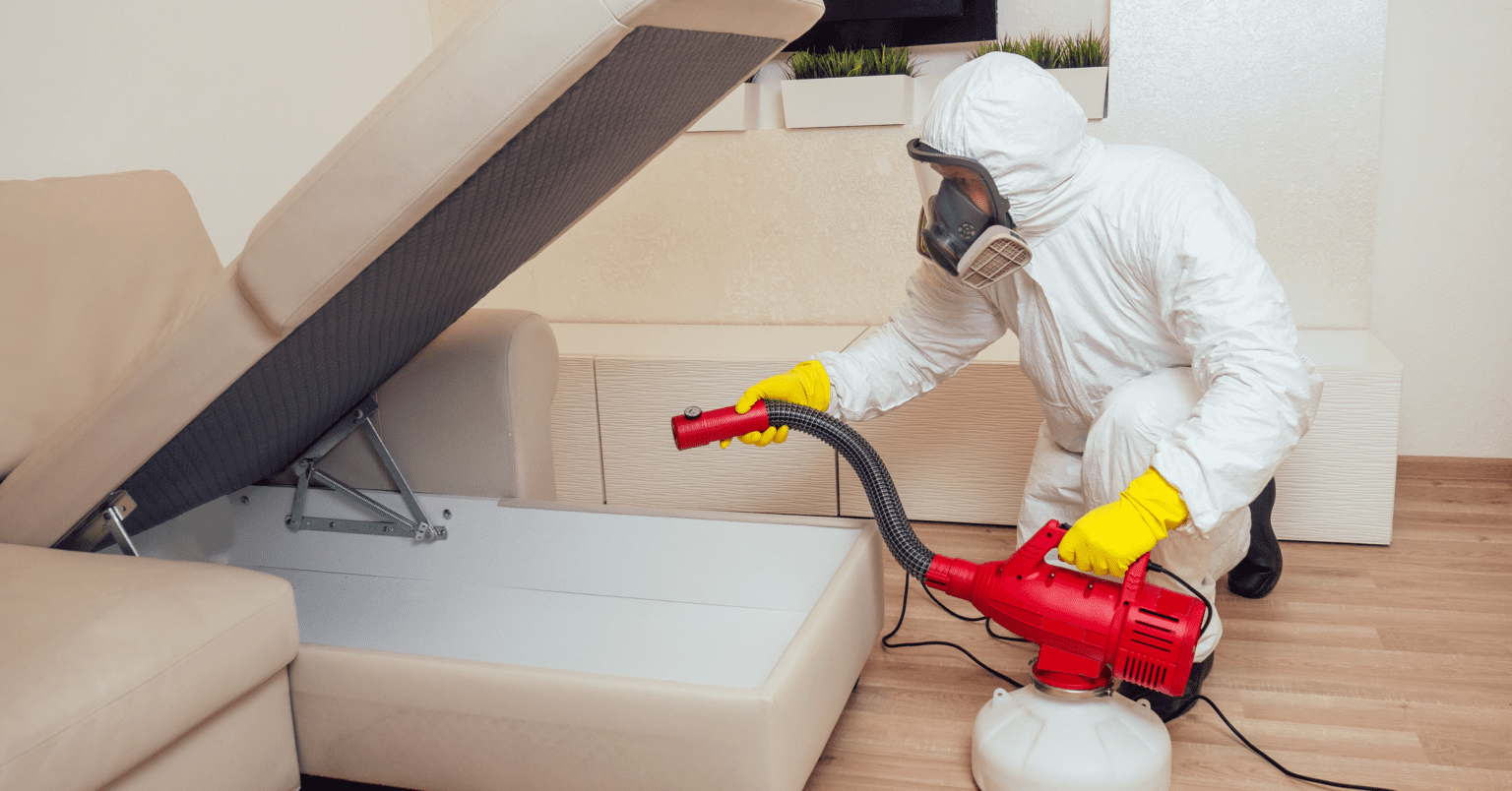 The Impact of Rodents on Electrical Wiring: Risks and Solutions ...