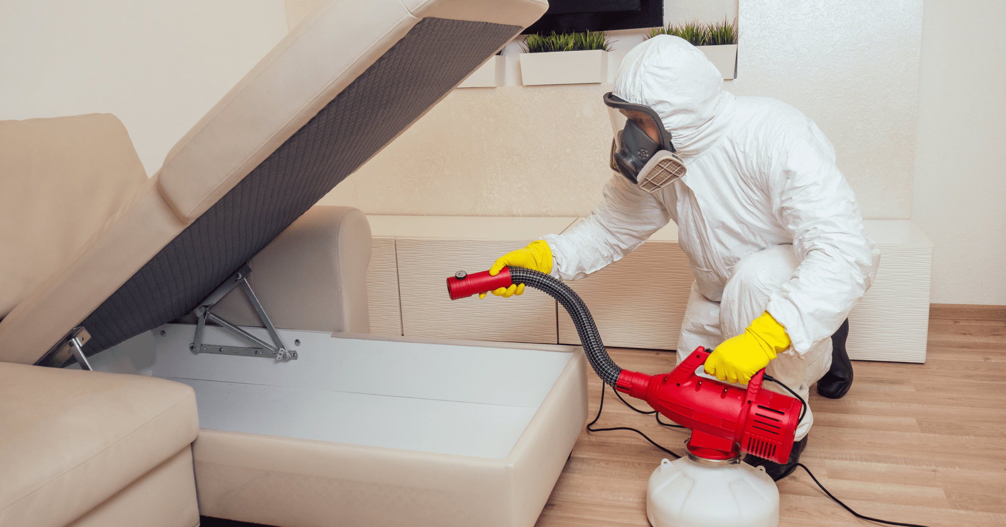 The Impact of Rodents on Electrical Wiring: Risks and Solutions ...